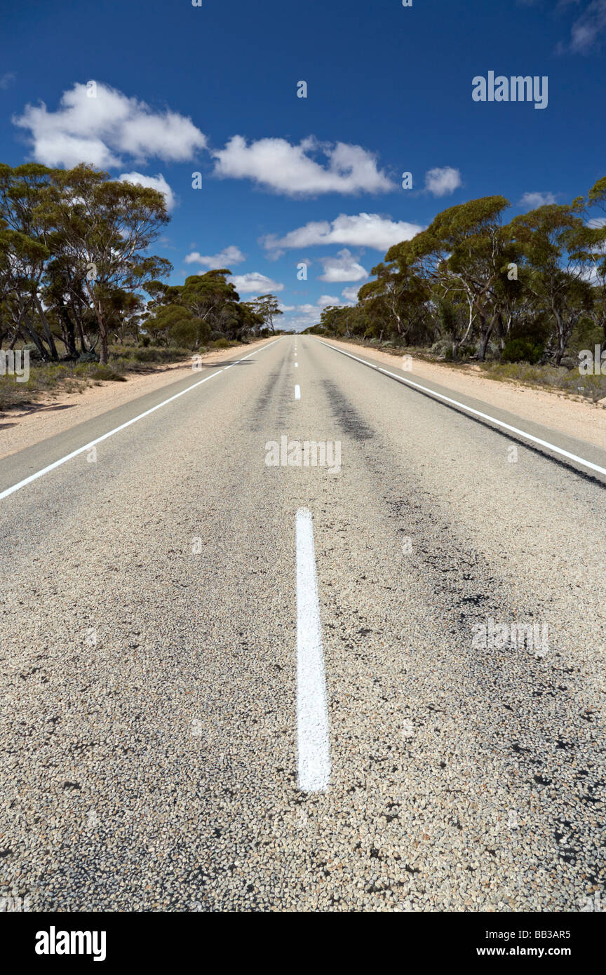 The Erye Highway in South Australia The main road across Southern ...