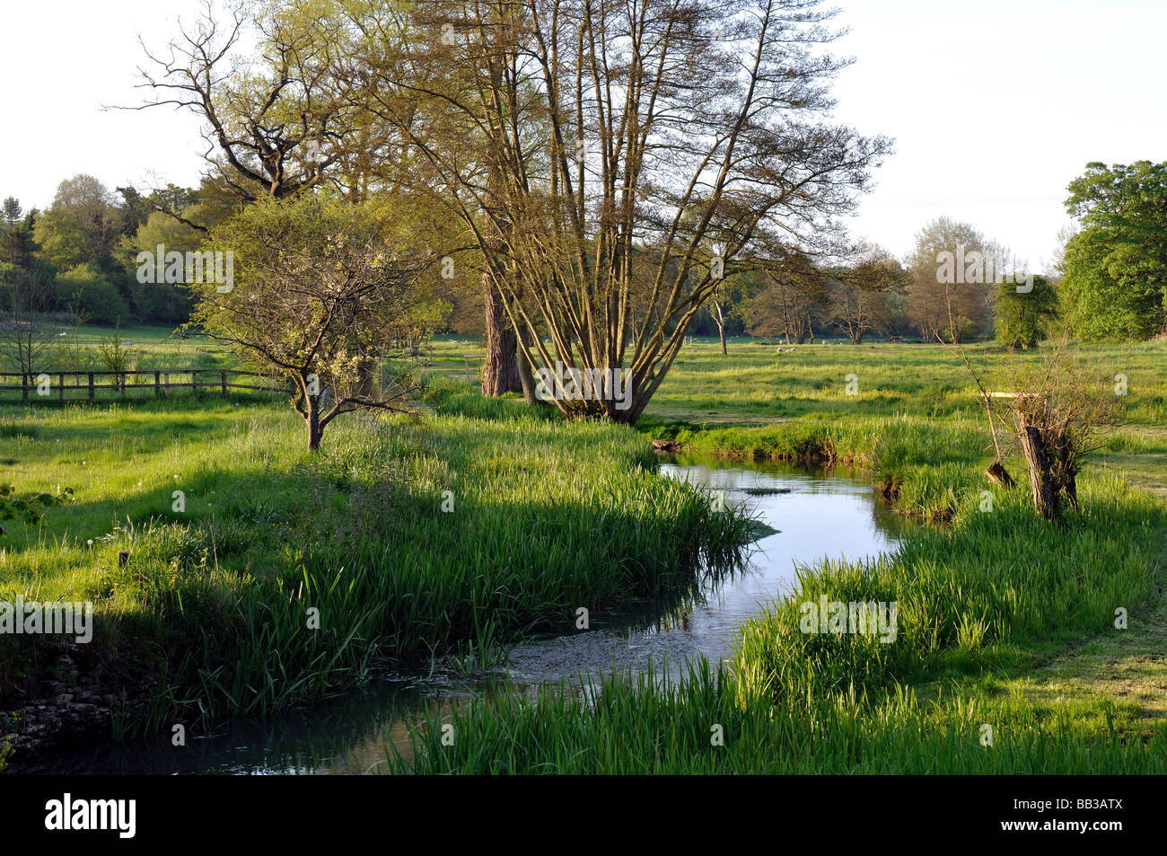 River Coln at Coln St Dennis, Gloucestershire, England, UK Stock Photo ...