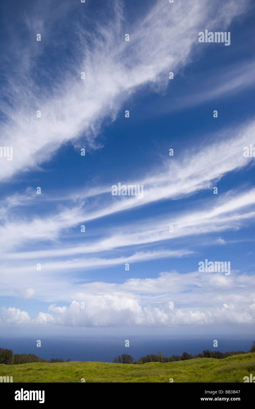 USA, Hawaii, Big Island, Hilo, Grass Field Overlooking the Pacific ...