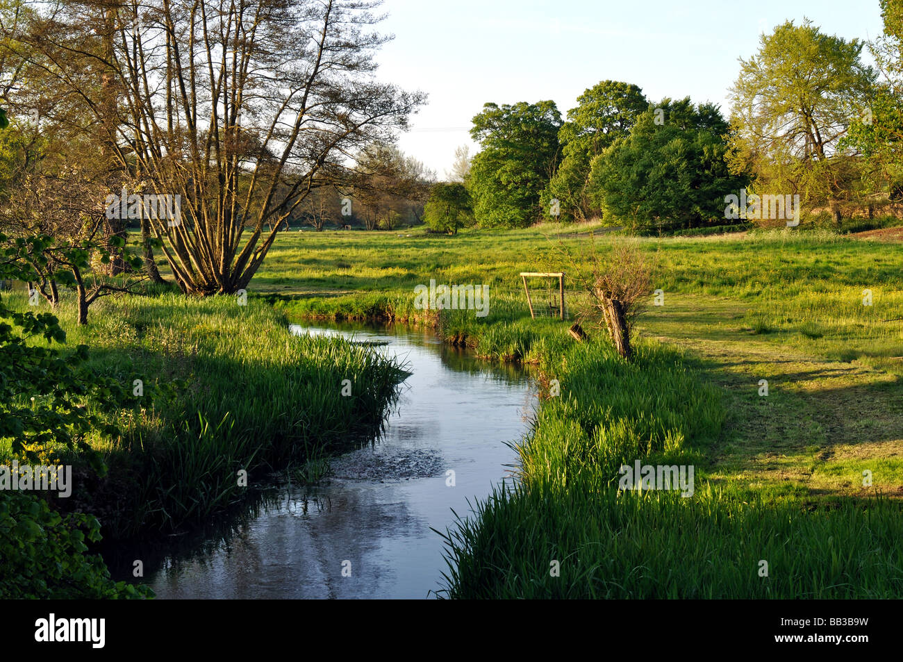 River Coln at Coln St Dennis, Gloucestershire, England, UK Stock Photo ...