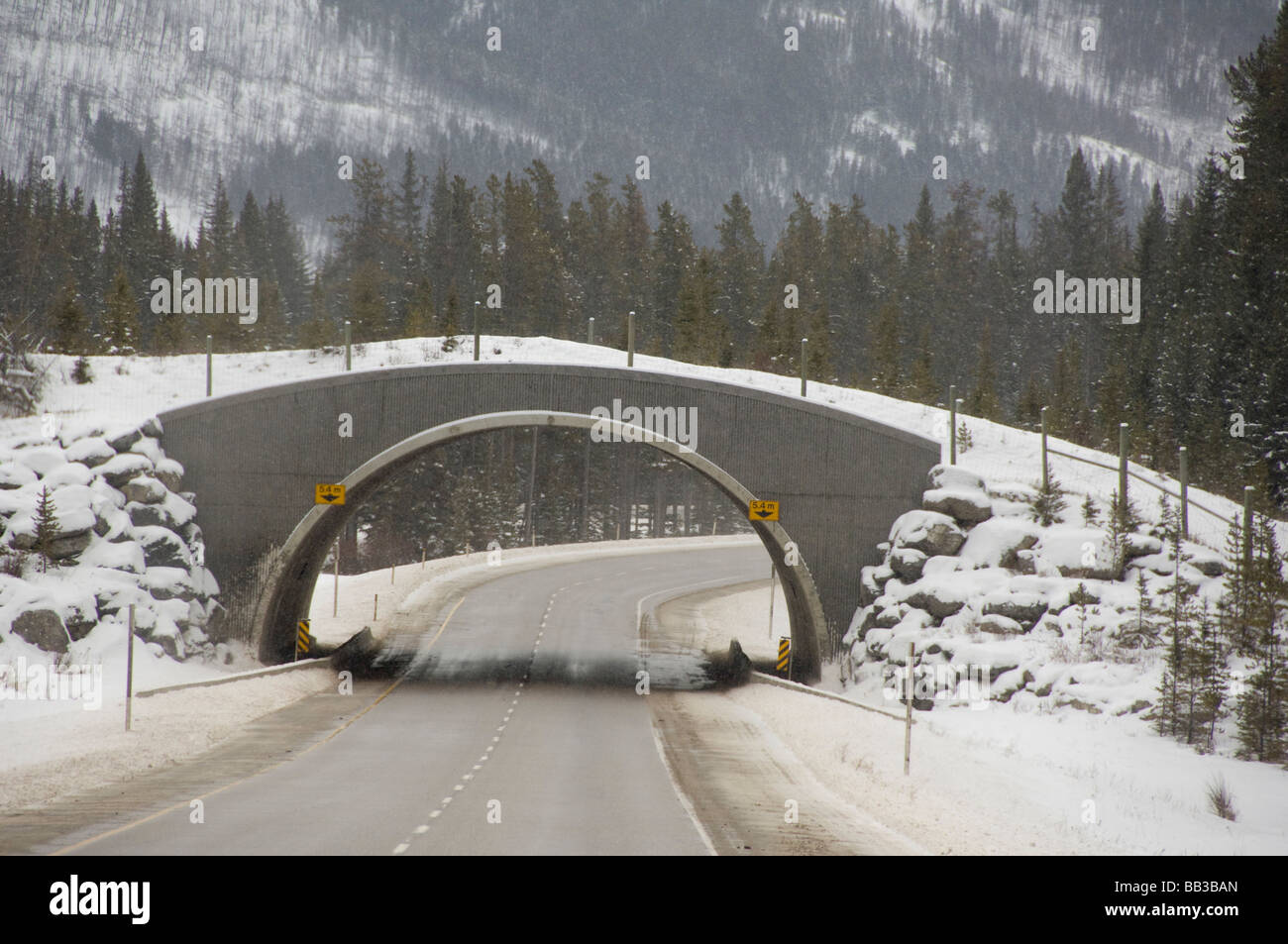 Canada, Alberta, Banff National Park. The road between Lake Louise ...