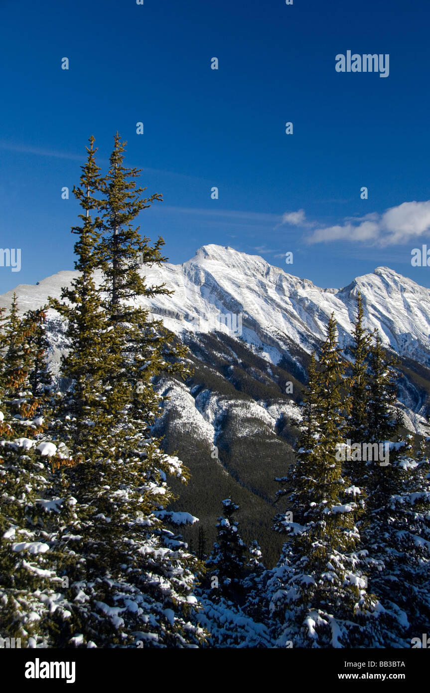 Canada, Alberta, Banff. Views from the summit of Sulphur Mountain Stock ...