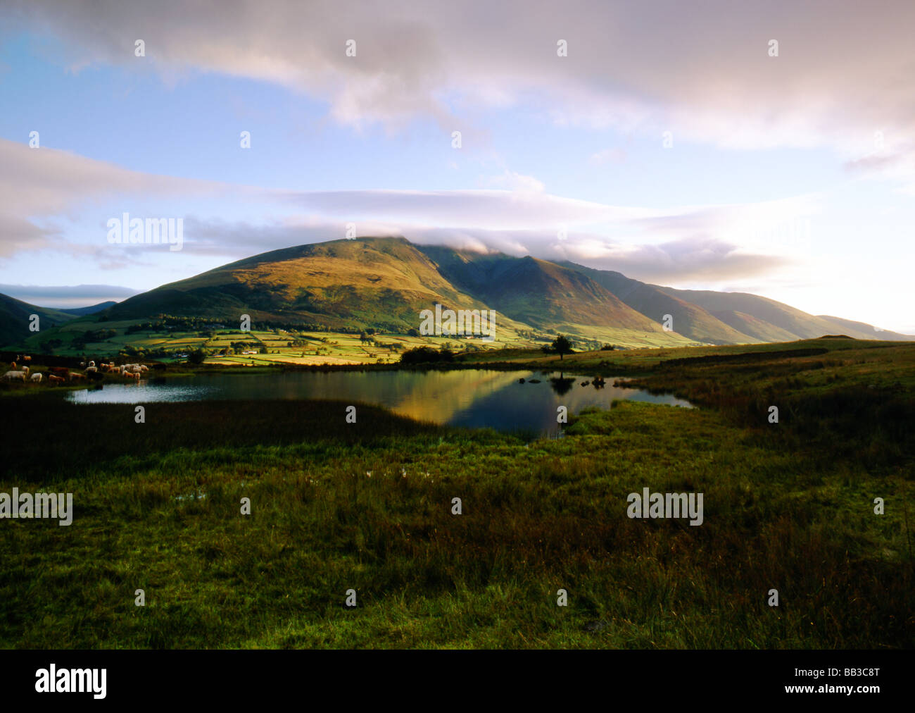 Tewer hi-res stock photography and images - Alamy