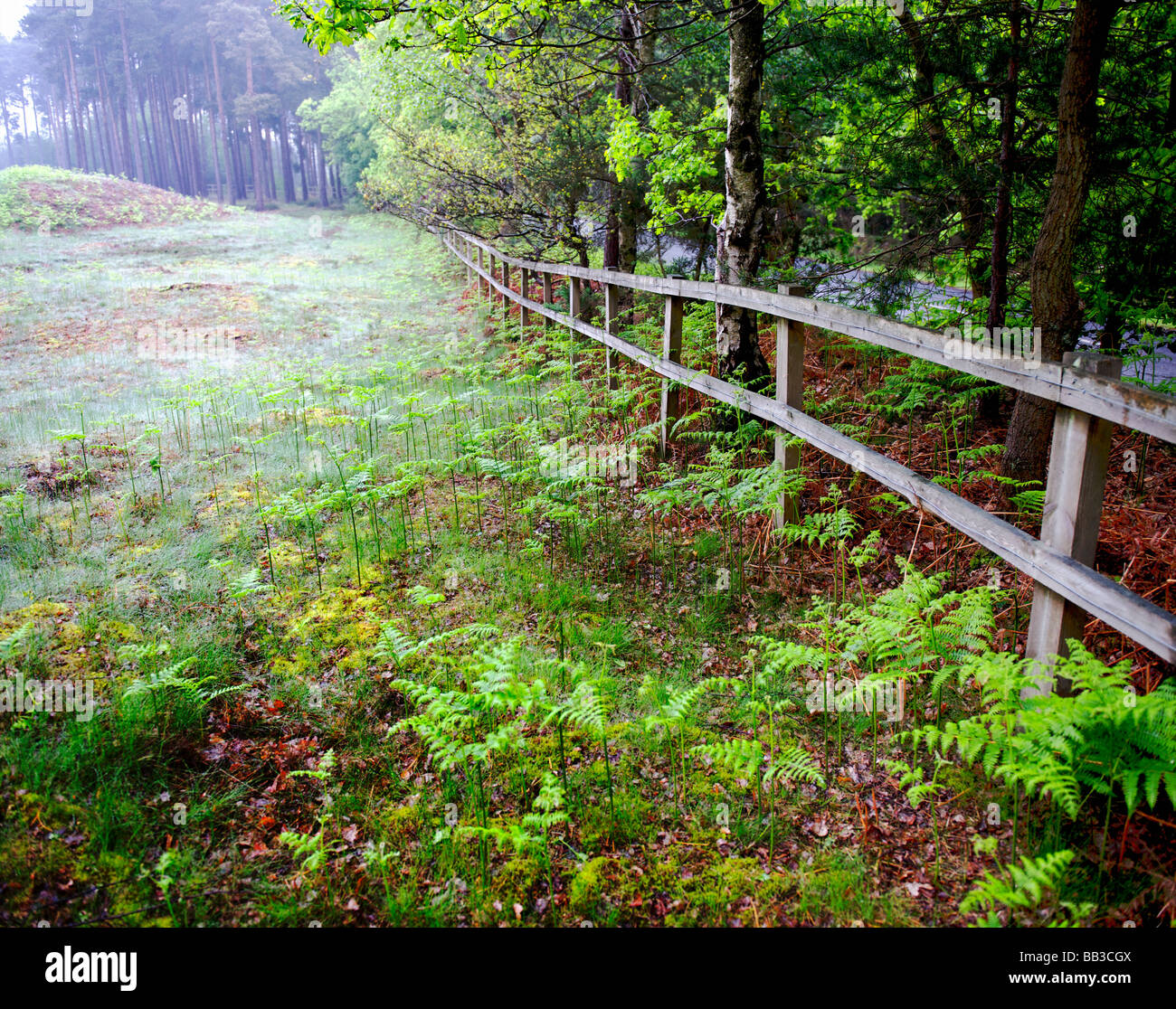 Mortimer forest people hi-res stock photography and images - Alamy