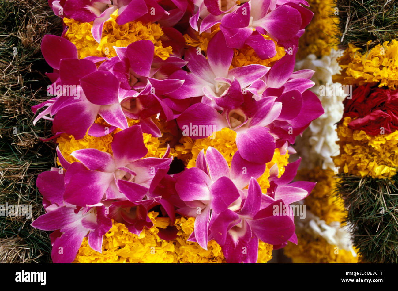 Asia, Singapore. Flowers for sale Stock Photo - Alamy