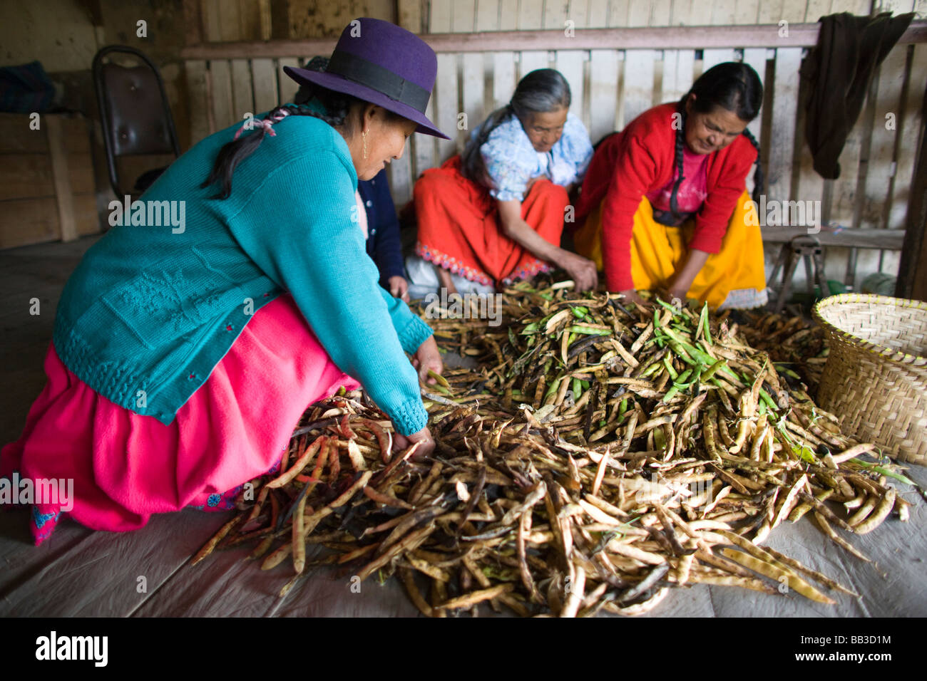 Women performing their daily chores, Cuenca, Ecuador Stock Photo - Alamy