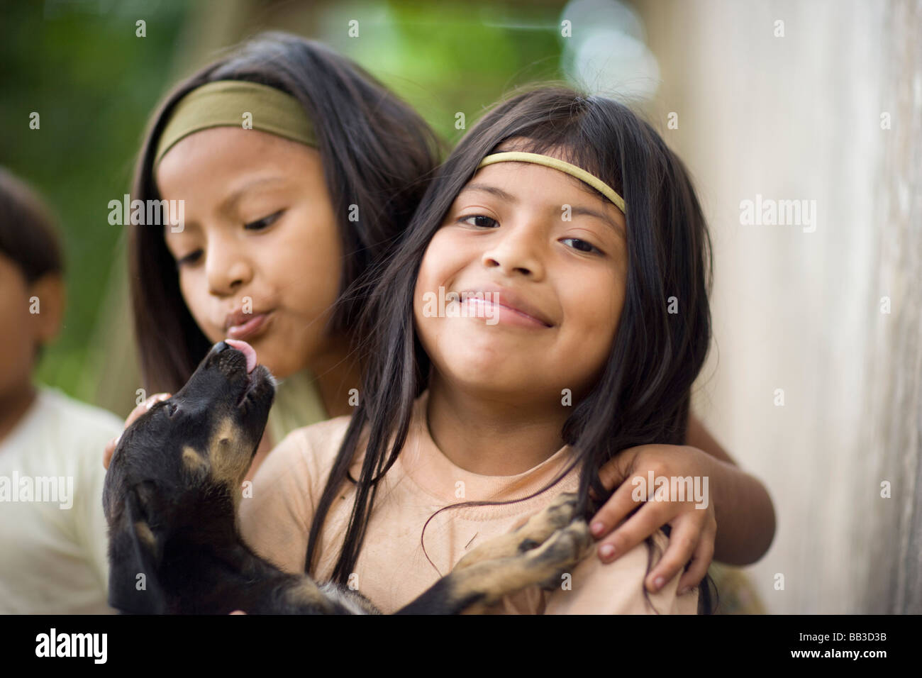 Shuar children with puppy, Shuar community, Guadalupe, Ecuador Stock ...