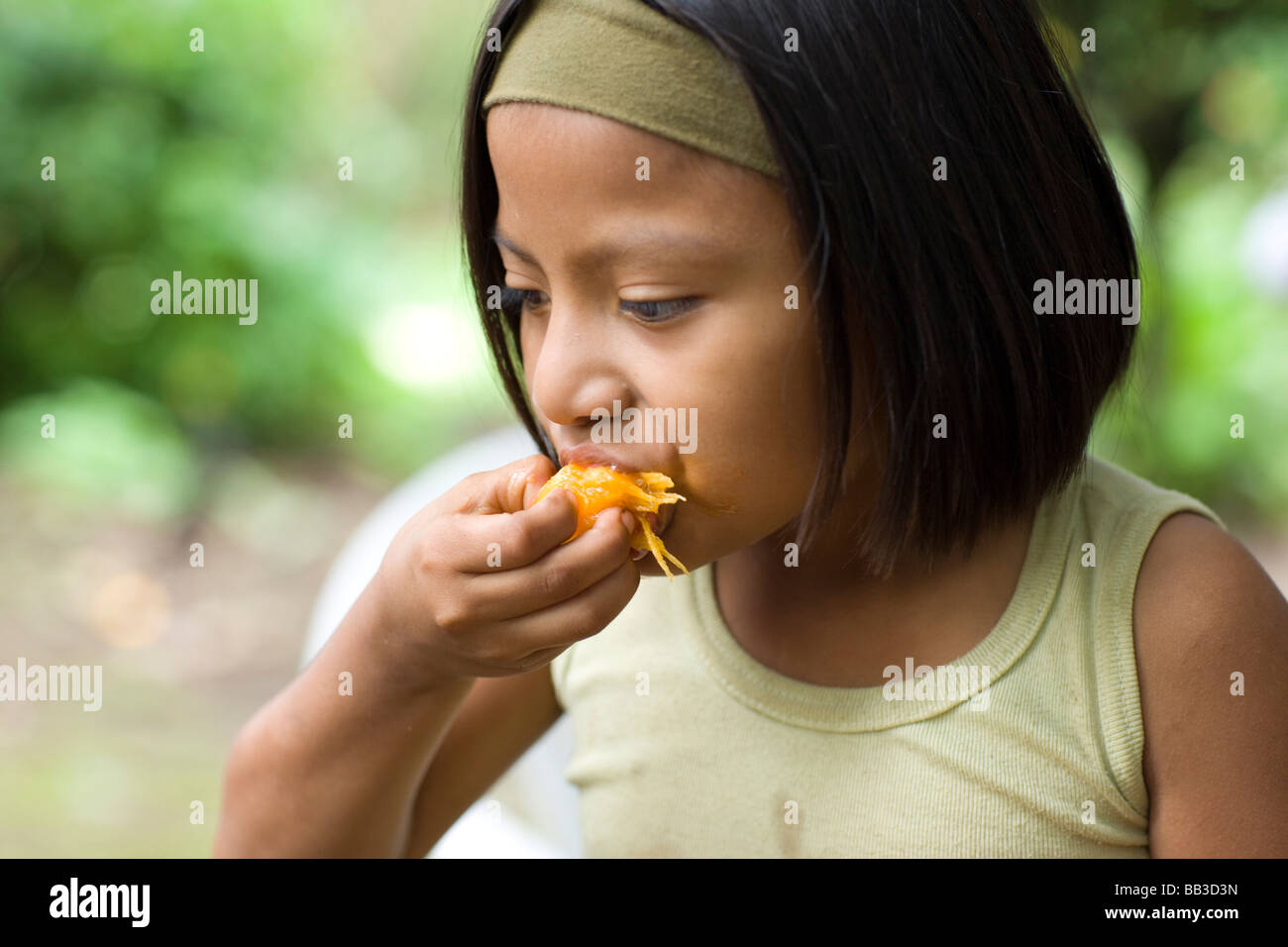 Shuar child eating sapote fruit, Shuar community, Guadalupe, Ecuador ...