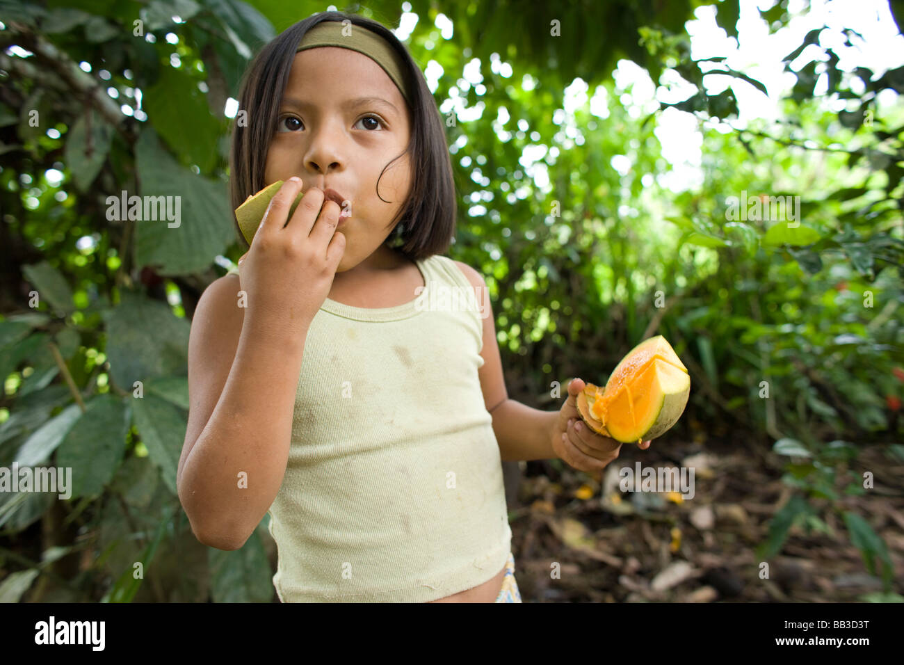 Shuar child eating sapote fruit, Shuar community, Guadalupe, Ecuador ...