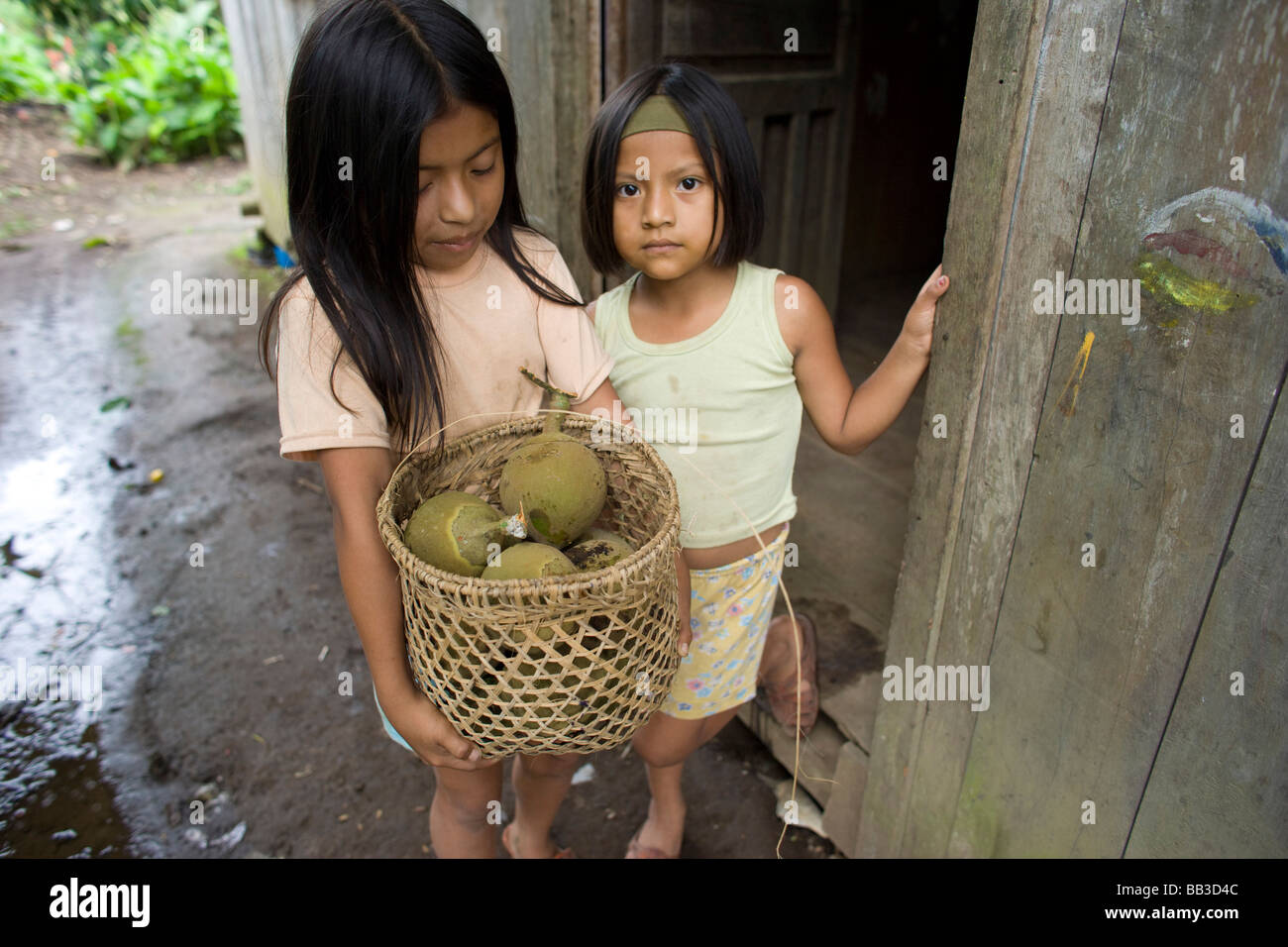 Shuar children, girl holding a basket of sapote fruit, Shuar community ...