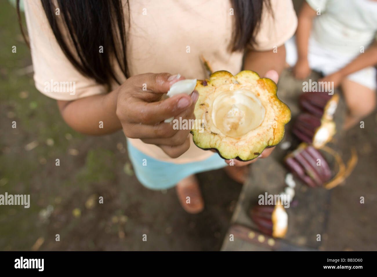 Shuar children eating fruit, Shuar community, Guadalupe, Ecuador Stock ...