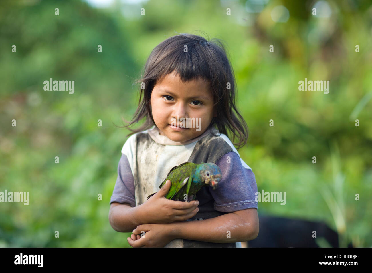 Shuar child with parrot, Shuar community, Guadalupe, Ecuador Stock ...