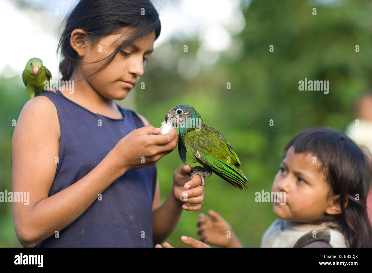 Shuar children with parrots, Shuar community, Guadalupe, Ecuador Stock ...