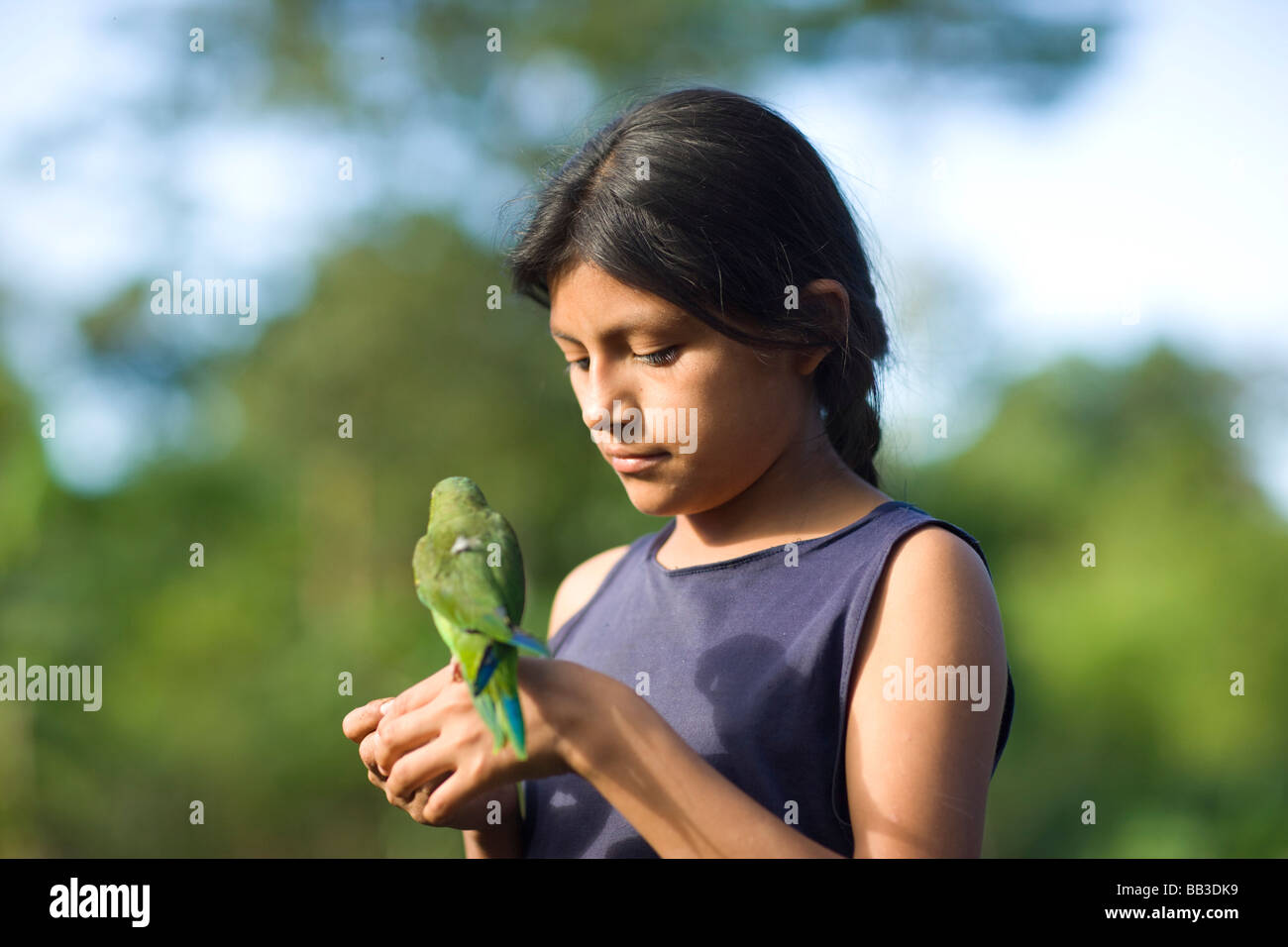 Shuar child with parrot, Shuar community, Guadalupe, Ecuador Stock ...