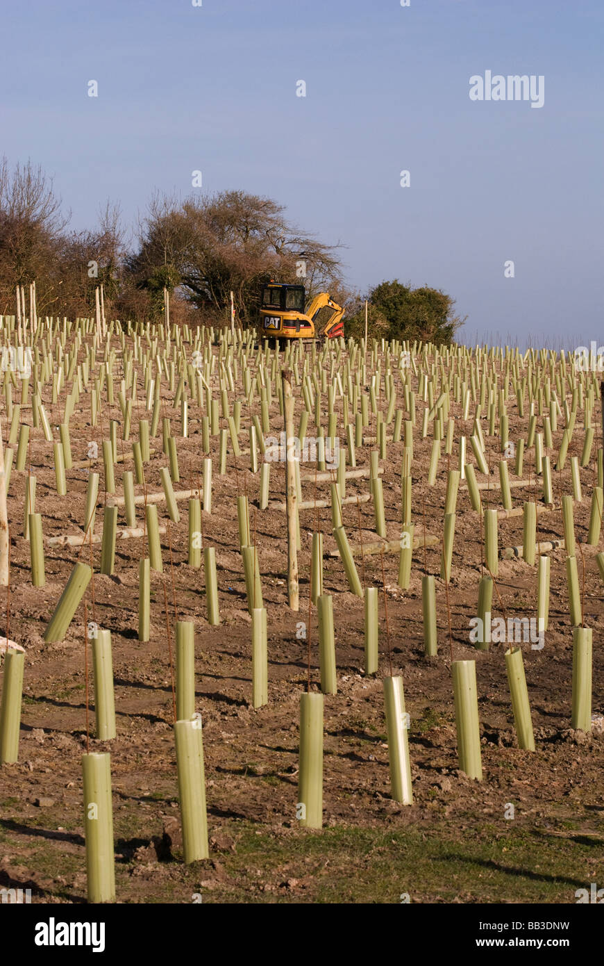 digger in field planting grapevines Stock Photo - Alamy
