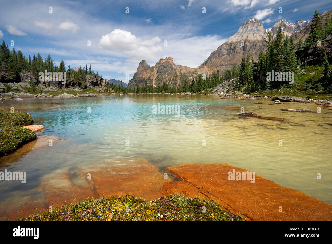 Canada, British Columbia, Yoho National Park. View of Opabin Terrace ...