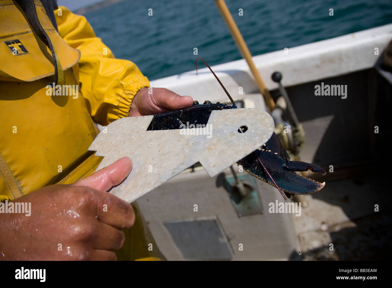 Measuring vessel hi-res stock photography and images - Alamy