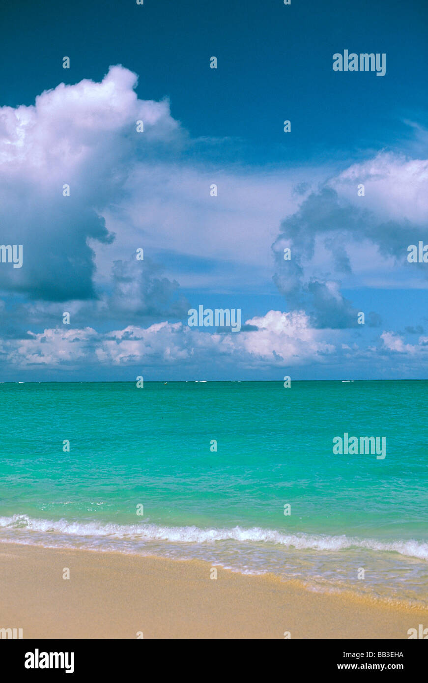 USA, Hawaii. Beach scene Stock Photo - Alamy