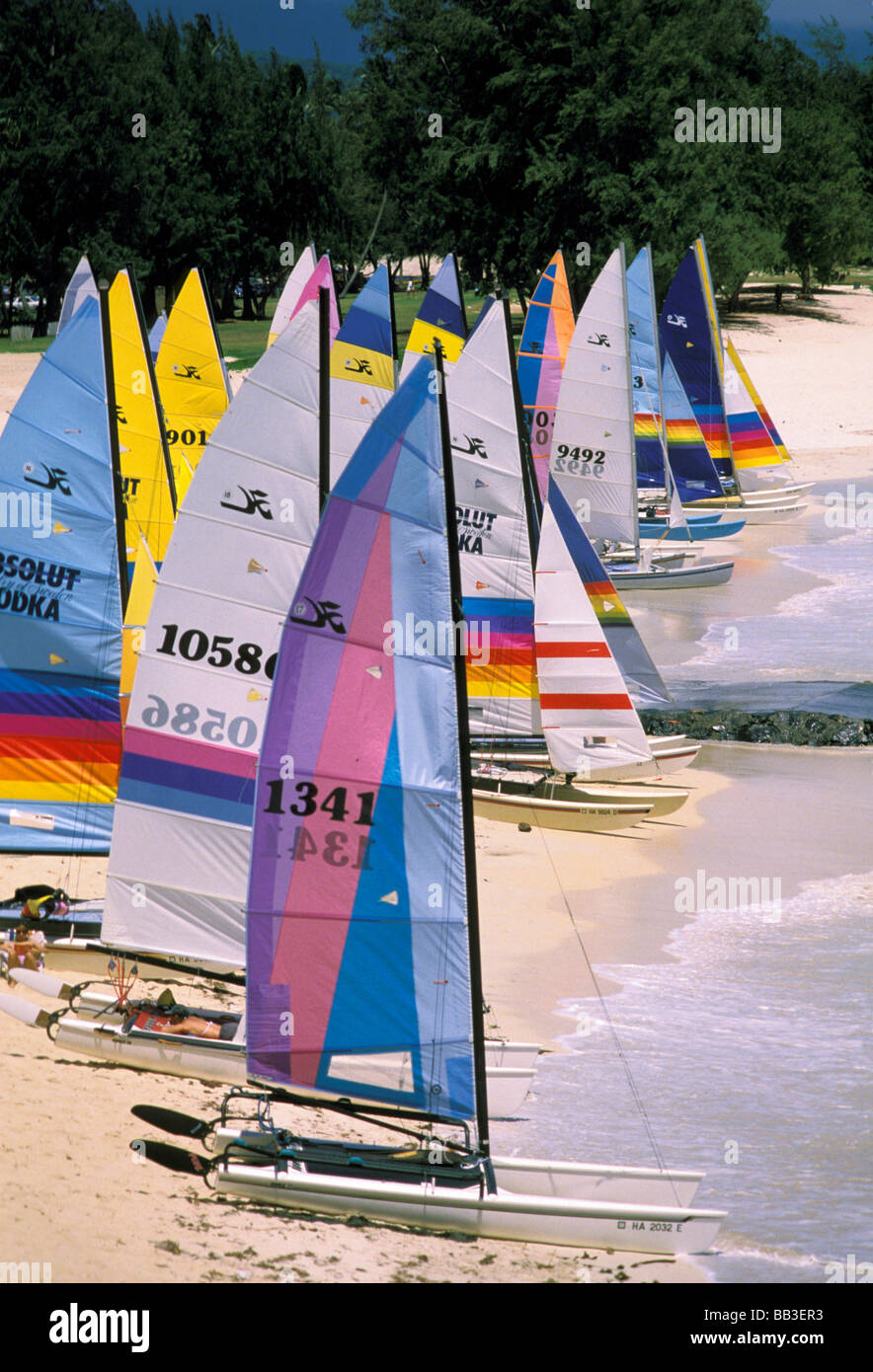 USA, Hawaii. Catamarans on beach Stock Photo - Alamy