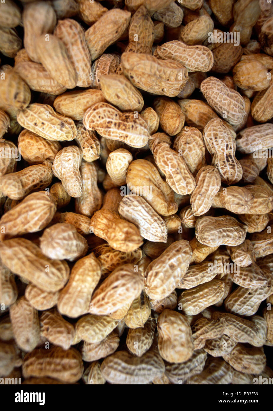 pile of peanuts, monkeynuts Stock Photo - Alamy
