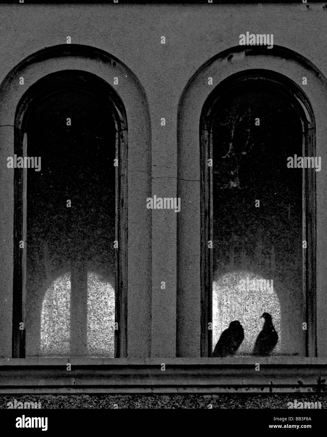 Windows and birds hi-res stock photography and images - Alamy