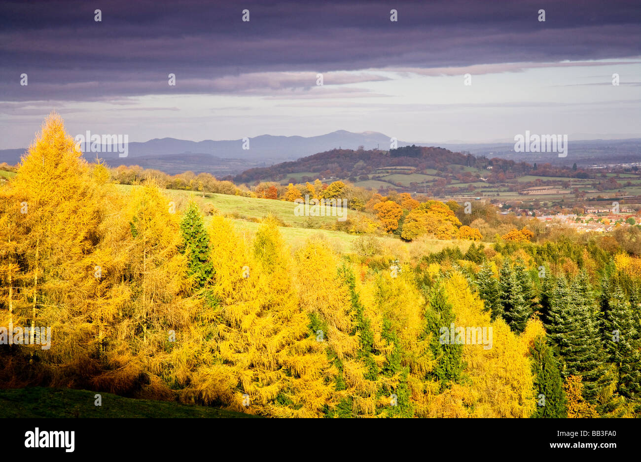 Dramatic forest hi-res stock photography and images - Alamy