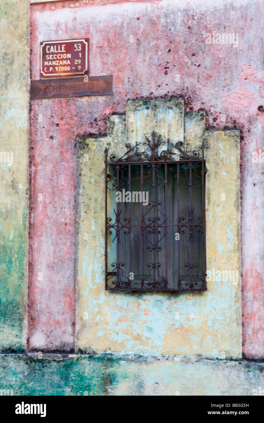 North America, Mexico, Yucatan, Merida. Colorful window and wall in ...