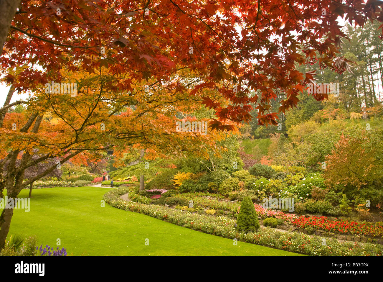 The Sunken Garden, Autumn Colors, Butchart Gardens, National Historic ...
