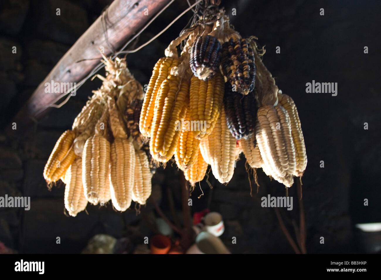 Corn hanging from the ceiling to dry, Ollantayambo, Peru Stock Photo ...
