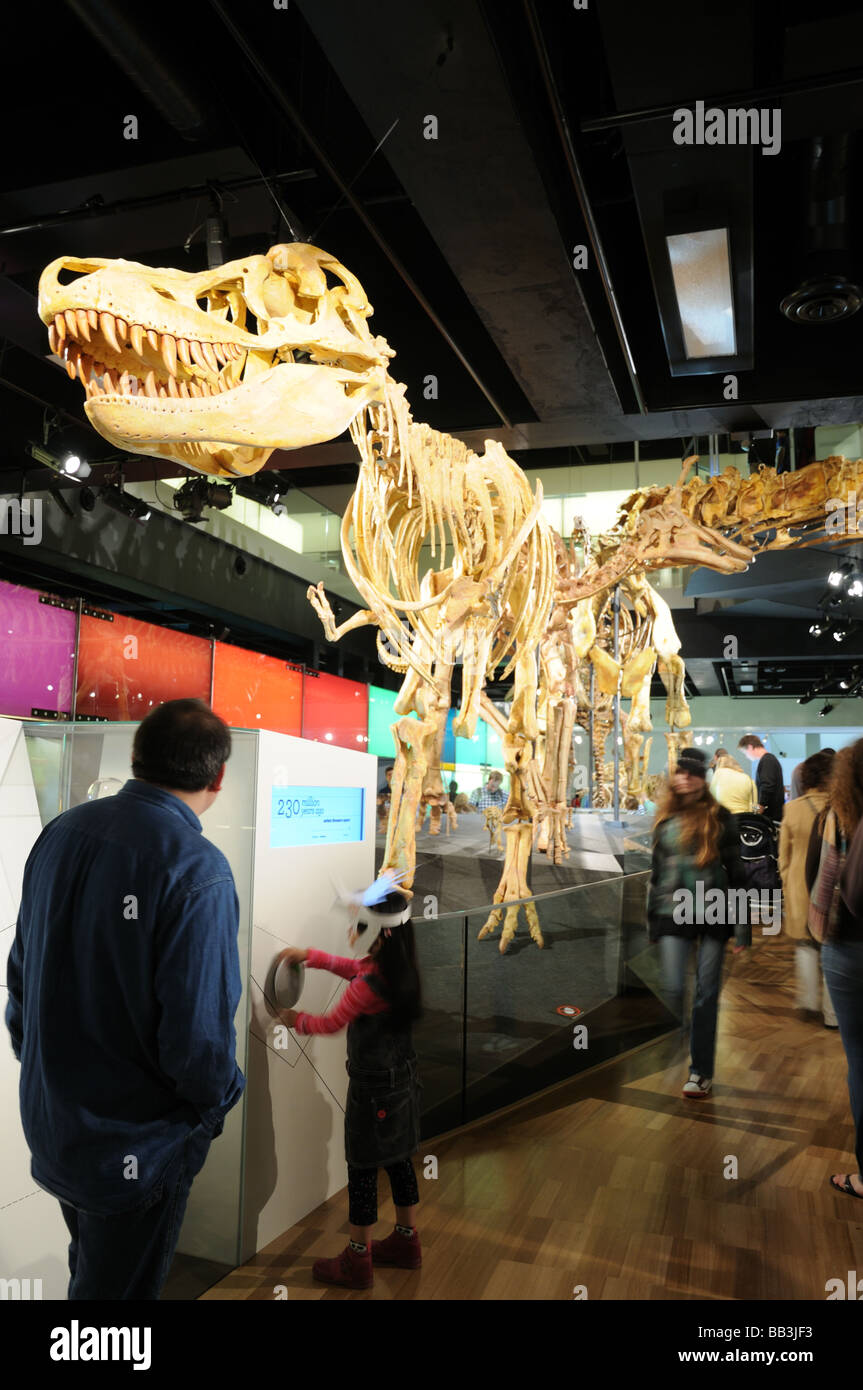 Dinosaur capital of australia hi-res stock photography and images - Alamy