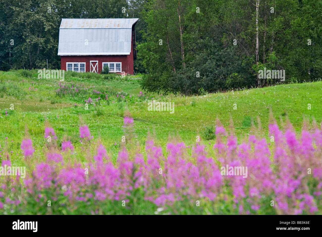 Alaska barn farm farm hi-res stock photography and images - Alamy