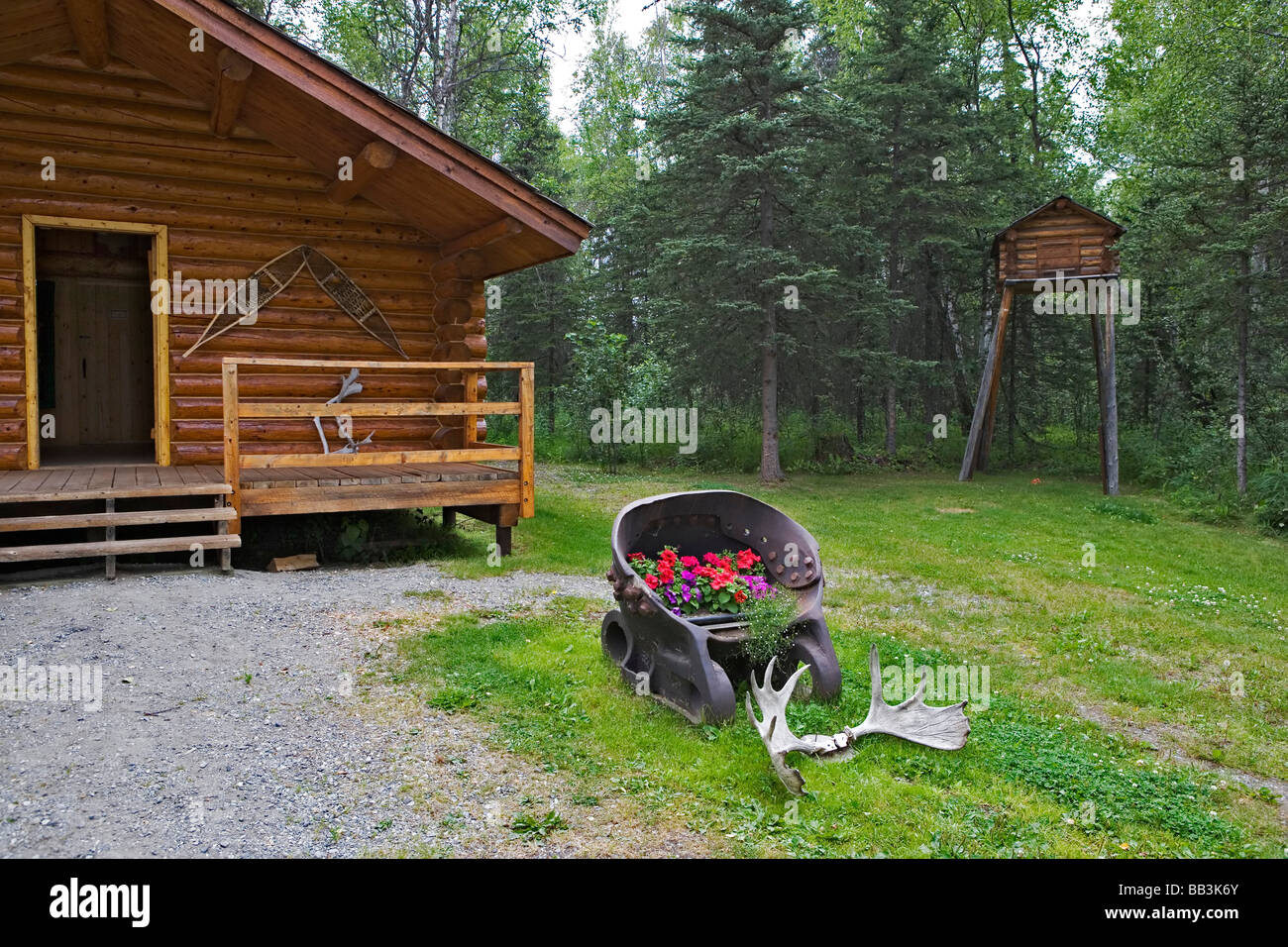 Moose yard hi-res stock photography and images - Alamy