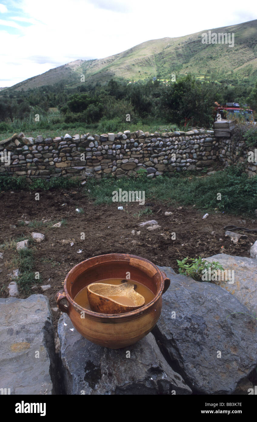 Bowl of chicha ( traditional maize beer ) and tutuma (small gourd cut ...