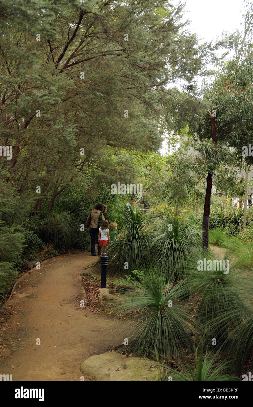 People walking through the Milarri Garden in Melbourne Museum Australia ...