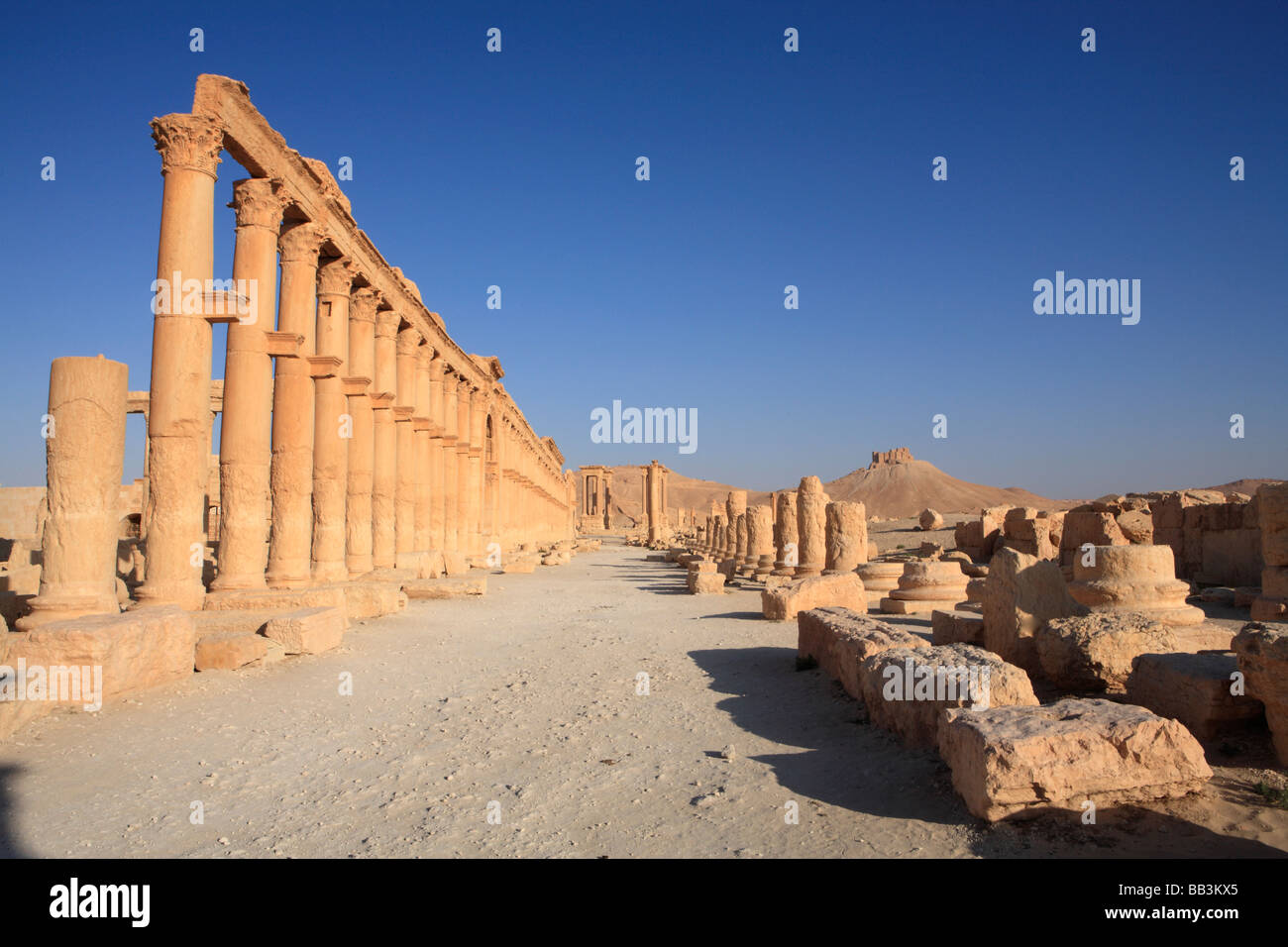 Grand Colonnaded Street, Palmyra, Syria Stock Photo - Alamy