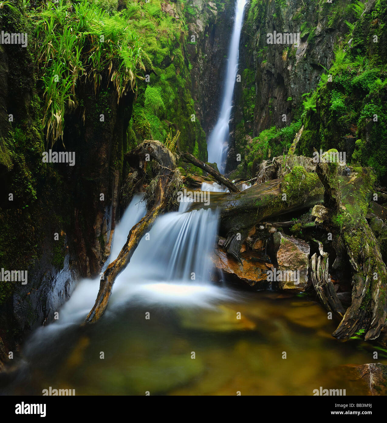 Scale force hi-res stock photography and images - Alamy