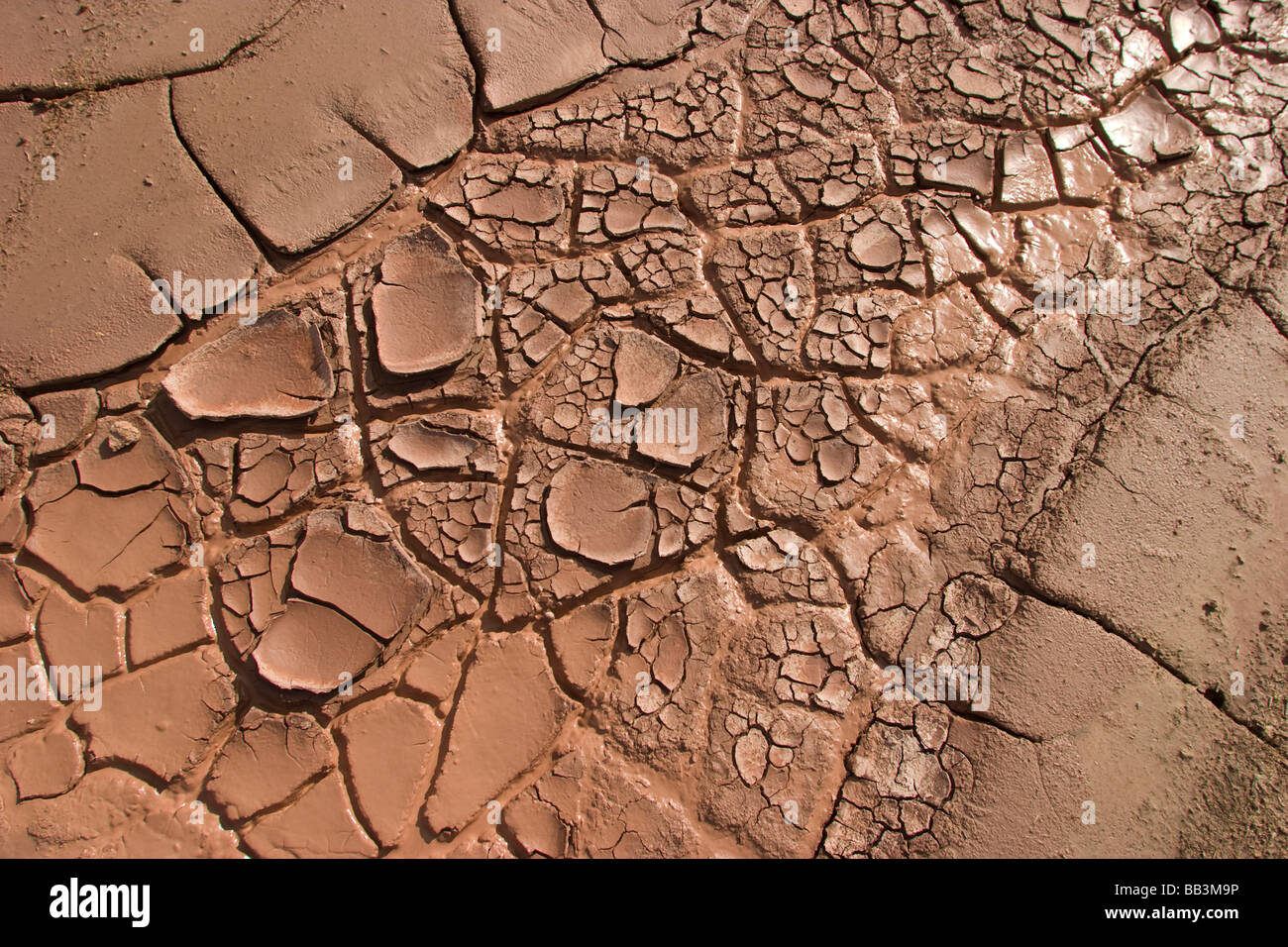 Cracked mud in desert during drought, Navajo reservation, near Seba ...