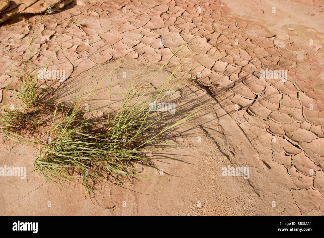 Cracked mud in desert during drought, Navajo reservation, near Seba ...