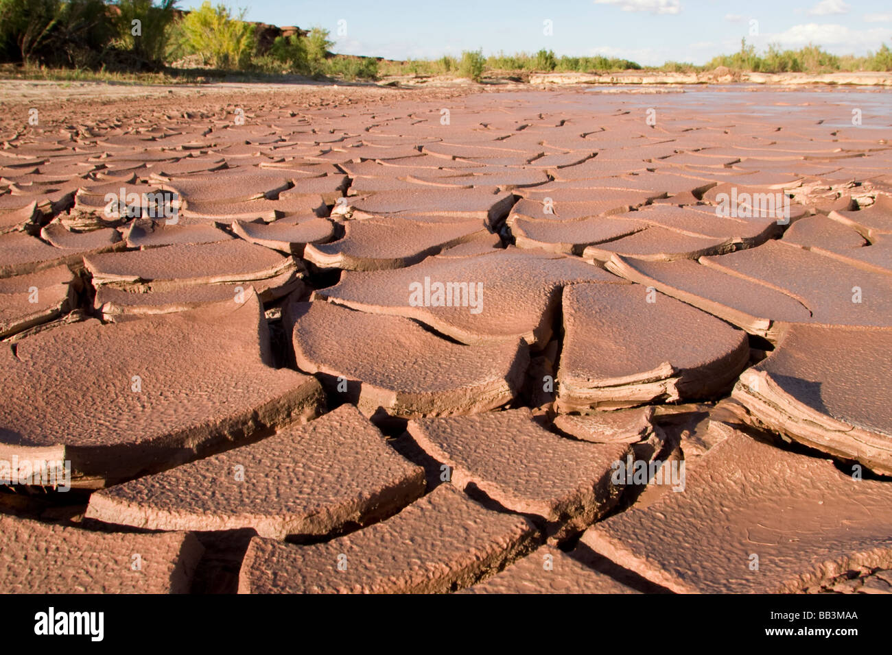 Cracked mud in desert during drought, Navajo reservation, near Seba ...