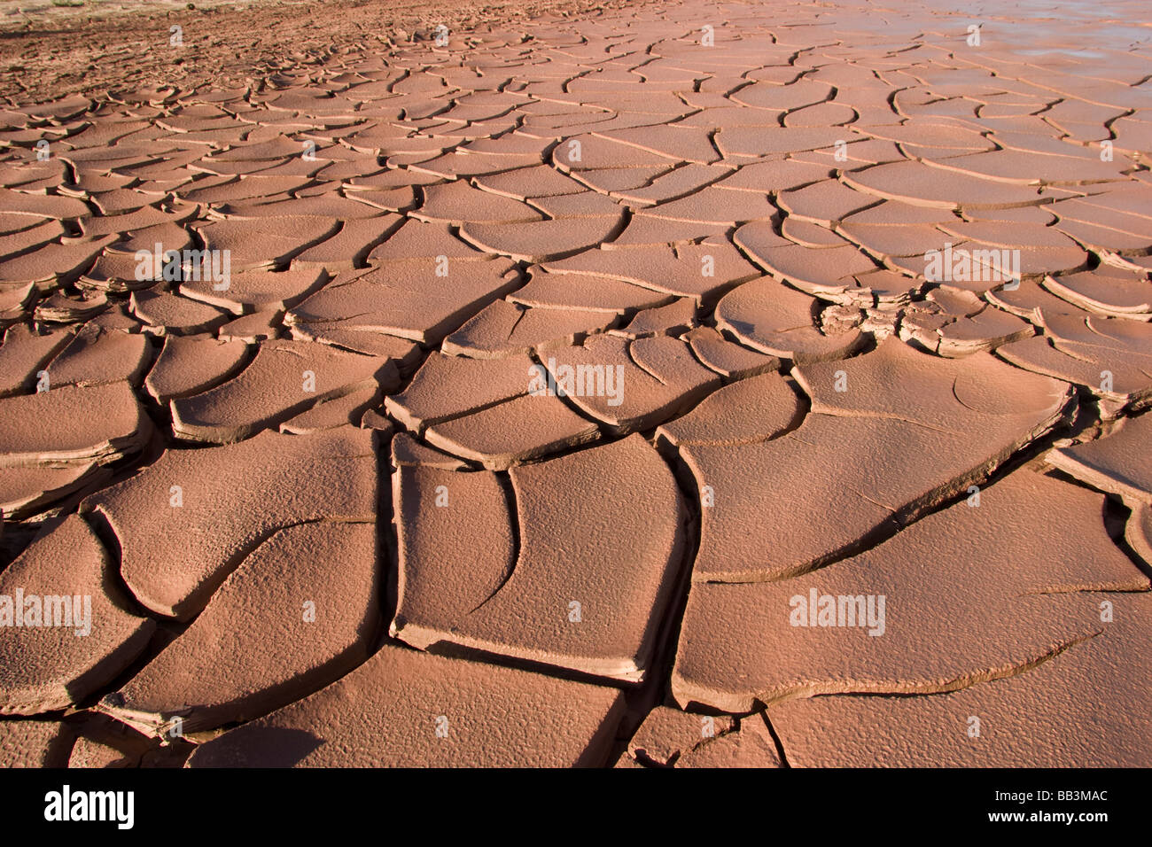 Cracked mud in desert during drought, Navajo reservation, near Seba ...
