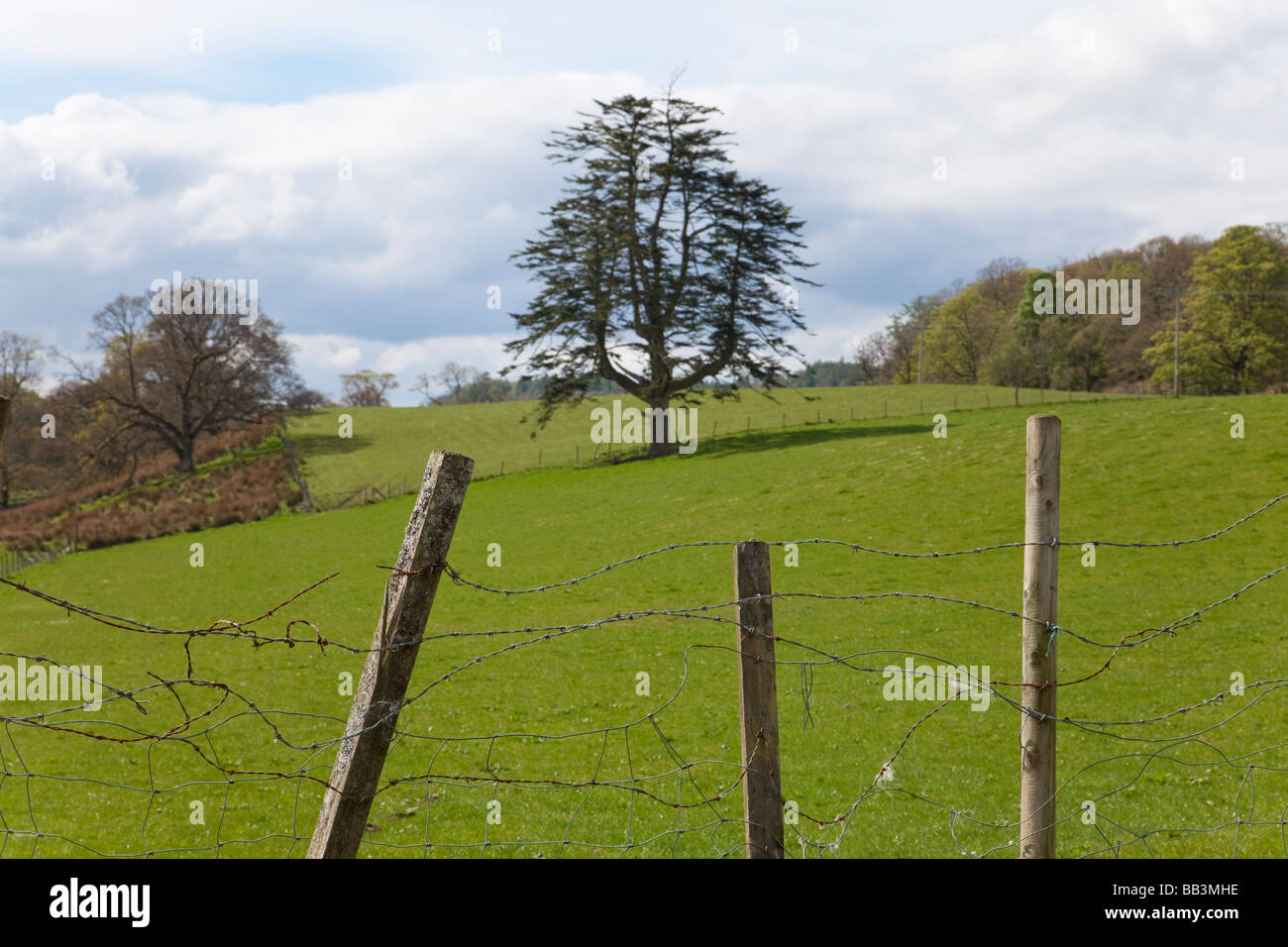 Barbed wire perimeter fence hi-res stock photography and images - Alamy