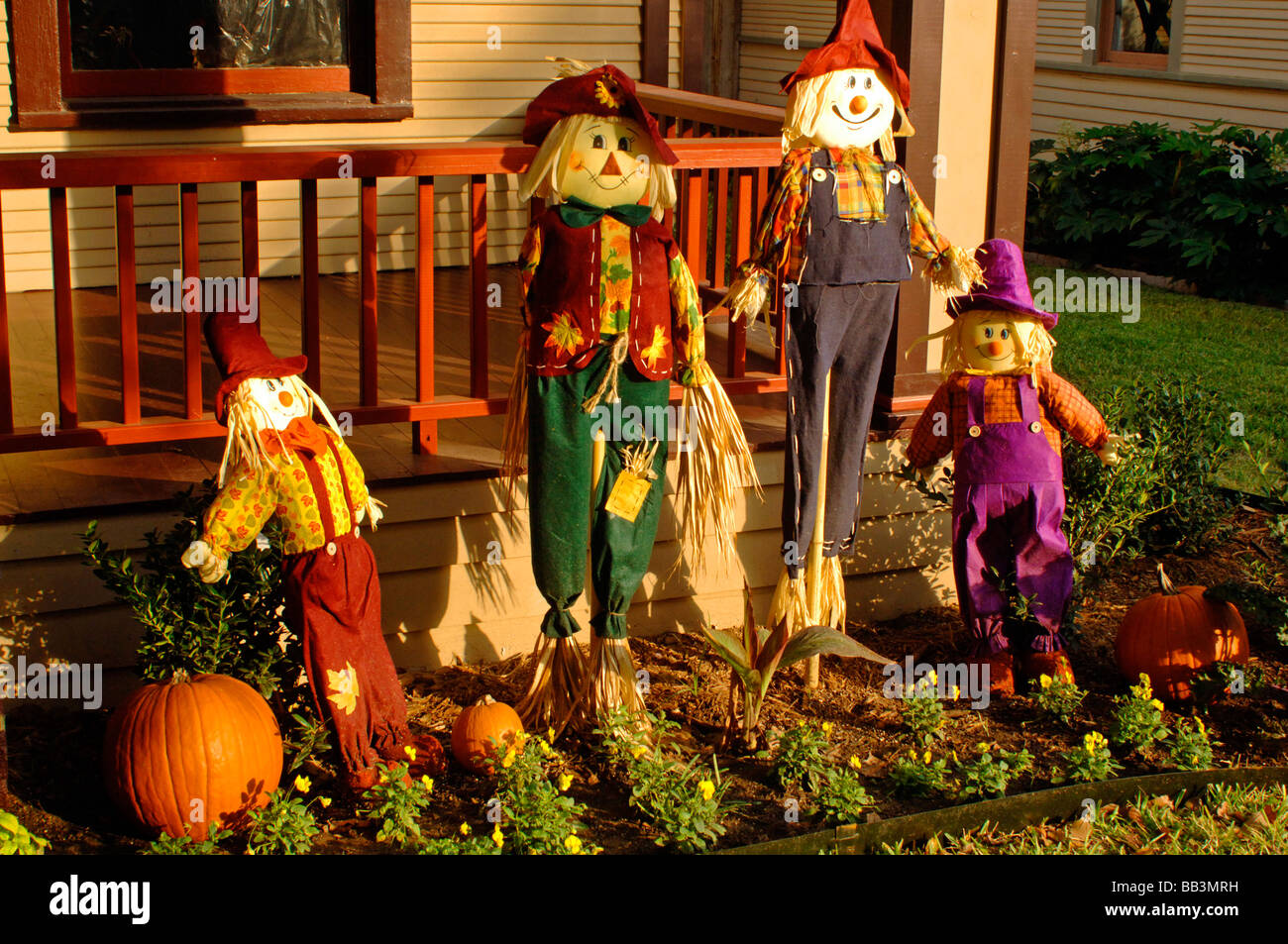 Skeleton scarecrow hi-res stock photography and images - Alamy