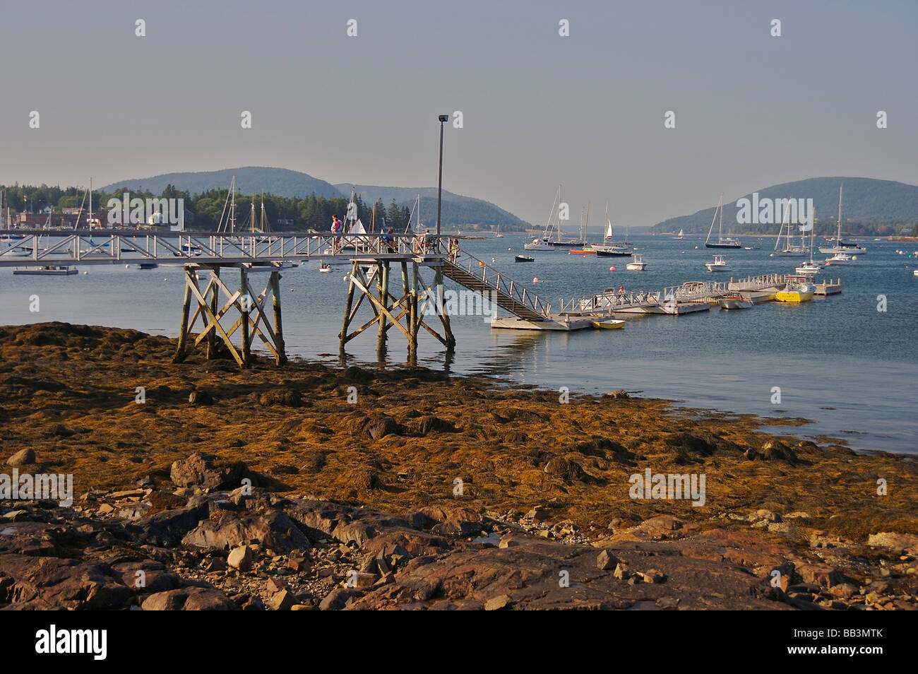 North America, USA, Maine, Southwest Harbor. Pier extending from the ...