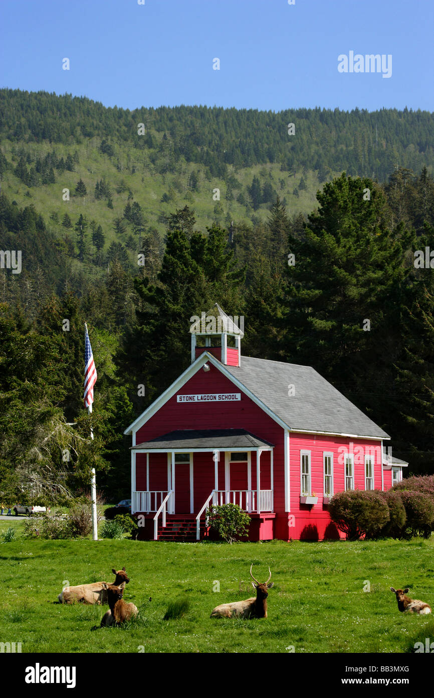 Stone lagoon, california hi-res stock photography and images - Alamy