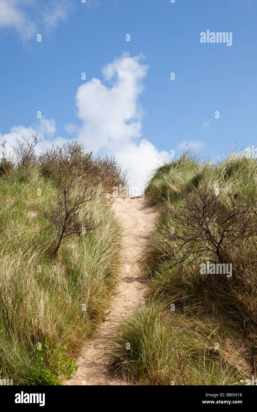 Pathway in the sand hi-res stock photography and images - Alamy