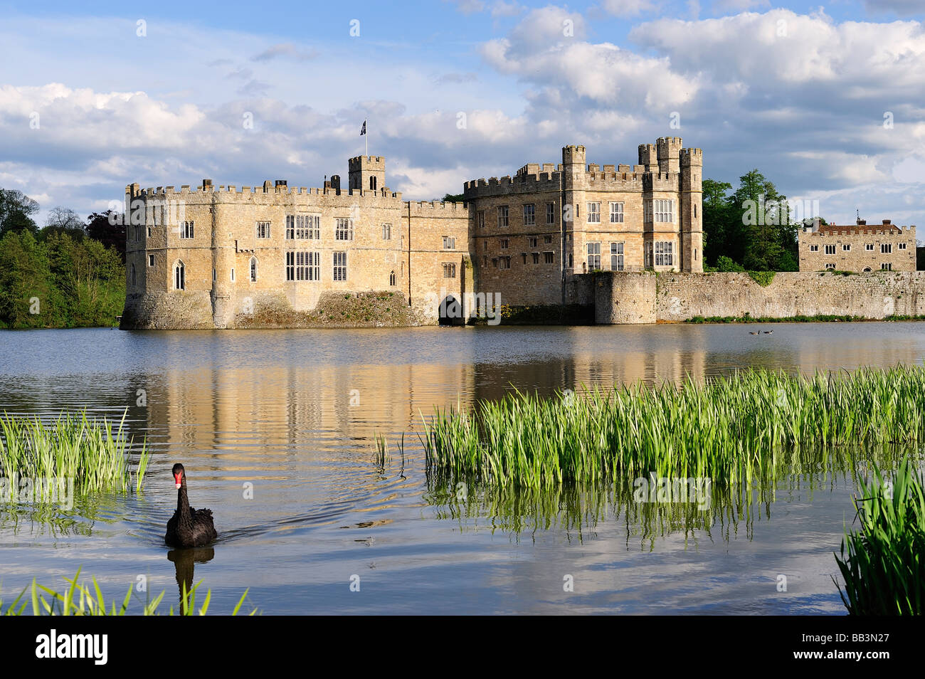 Swan castle hi-res stock photography and images - Alamy