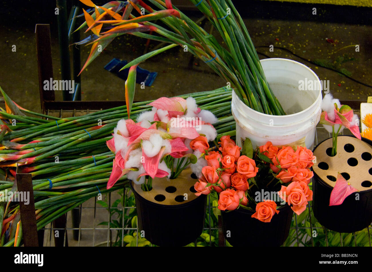 Tournament of roses floats hi-res stock photography and images - Alamy