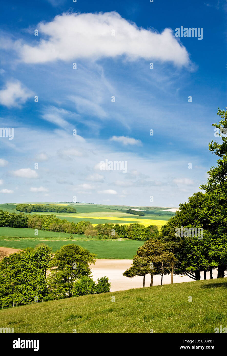 Gently rolling fields hi-res stock photography and images - Alamy
