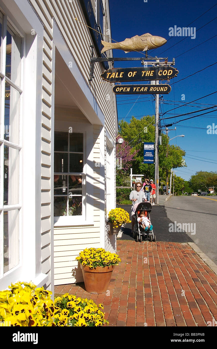 North America USA Massachusetts Chatham A sign & yellow flowers frame a ...