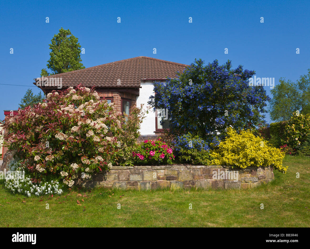 Terraced border of flowering shrubs in garden and bungalow Stock Photo ...